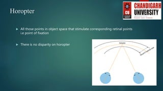 Binocular Vision.pptx