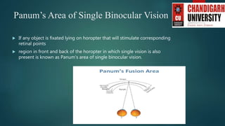 Binocular Vision.pptx
