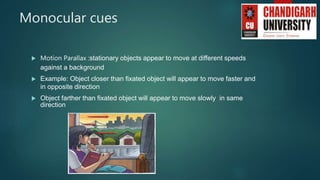 Binocular Vision.pptx