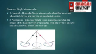 Binocular Vision.pptx