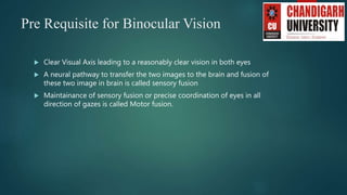 Binocular Vision.pptx
