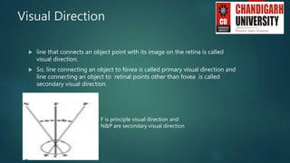 Binocular Vision.pptx