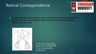 Binocular Vision.pptx