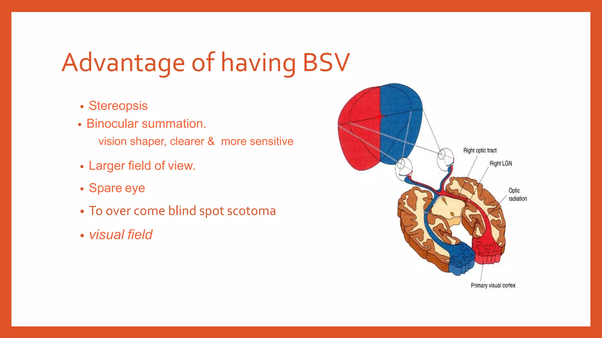 Binocular vision and space perception | PDF