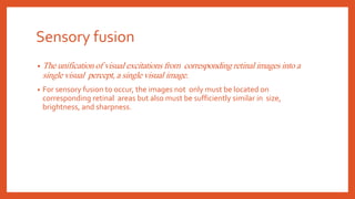 Binocular vision and space perception | PDF