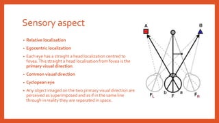 Binocular vision and space perception | PDF