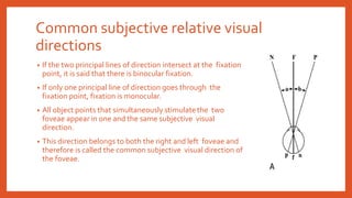 Binocular vision and space perception | PDF