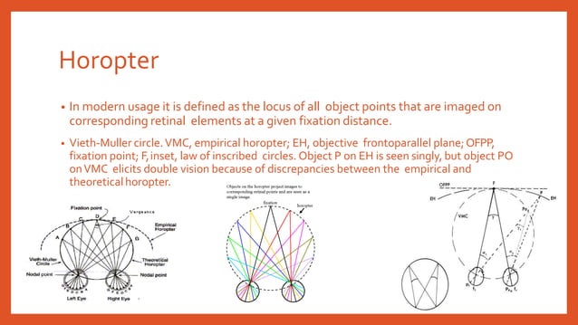 Binocular vision and space perception | PDF
