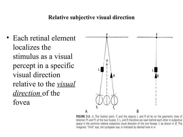 BINOCULAR VISION AND SPACE PERCEPTION.pptx