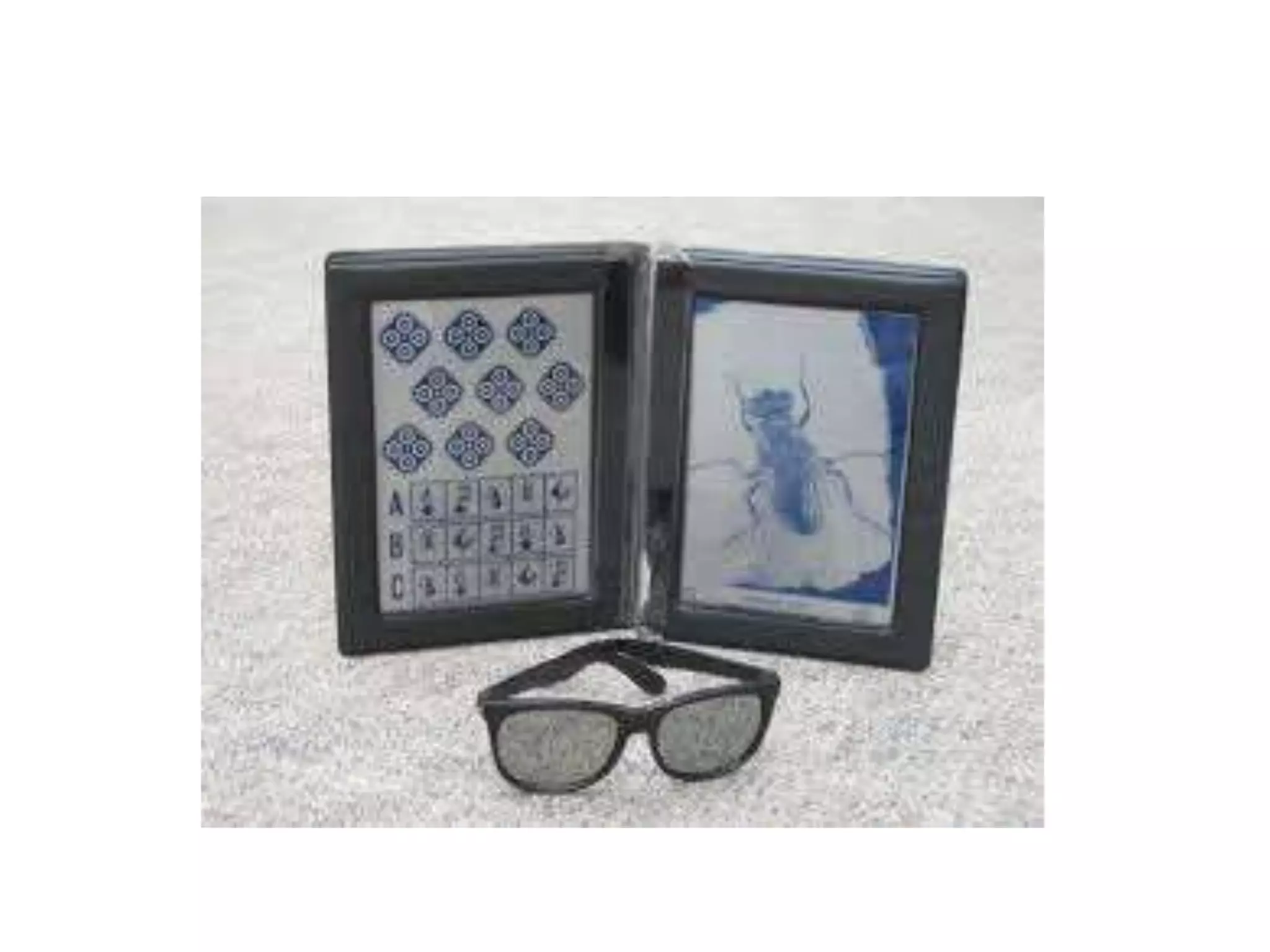 Binocular vision and stereopsis | PPTX