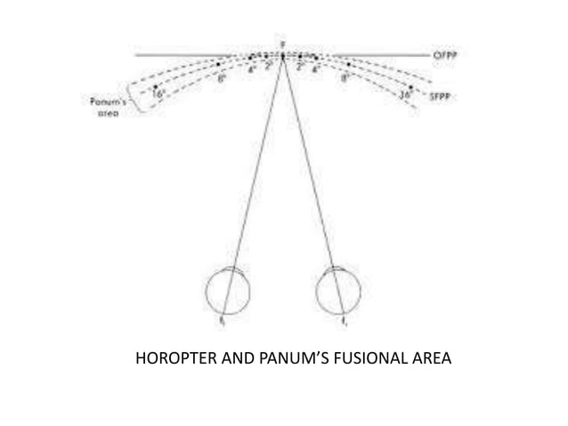 Binocular vision and stereopsis | PPTX