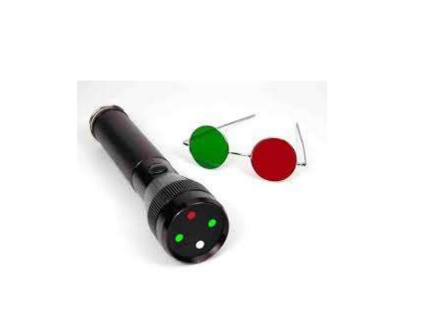 Binocular vision and stereopsis | PPTX