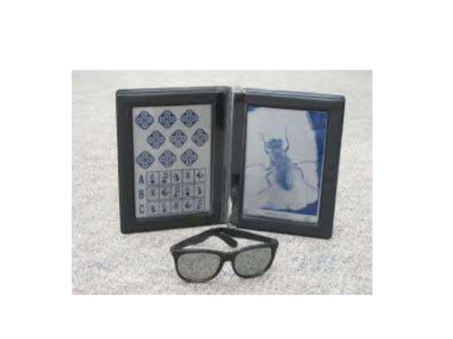 Binocular vision and stereopsis | PPTX