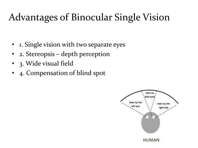 Binocular vision and stereopsis | PPTX