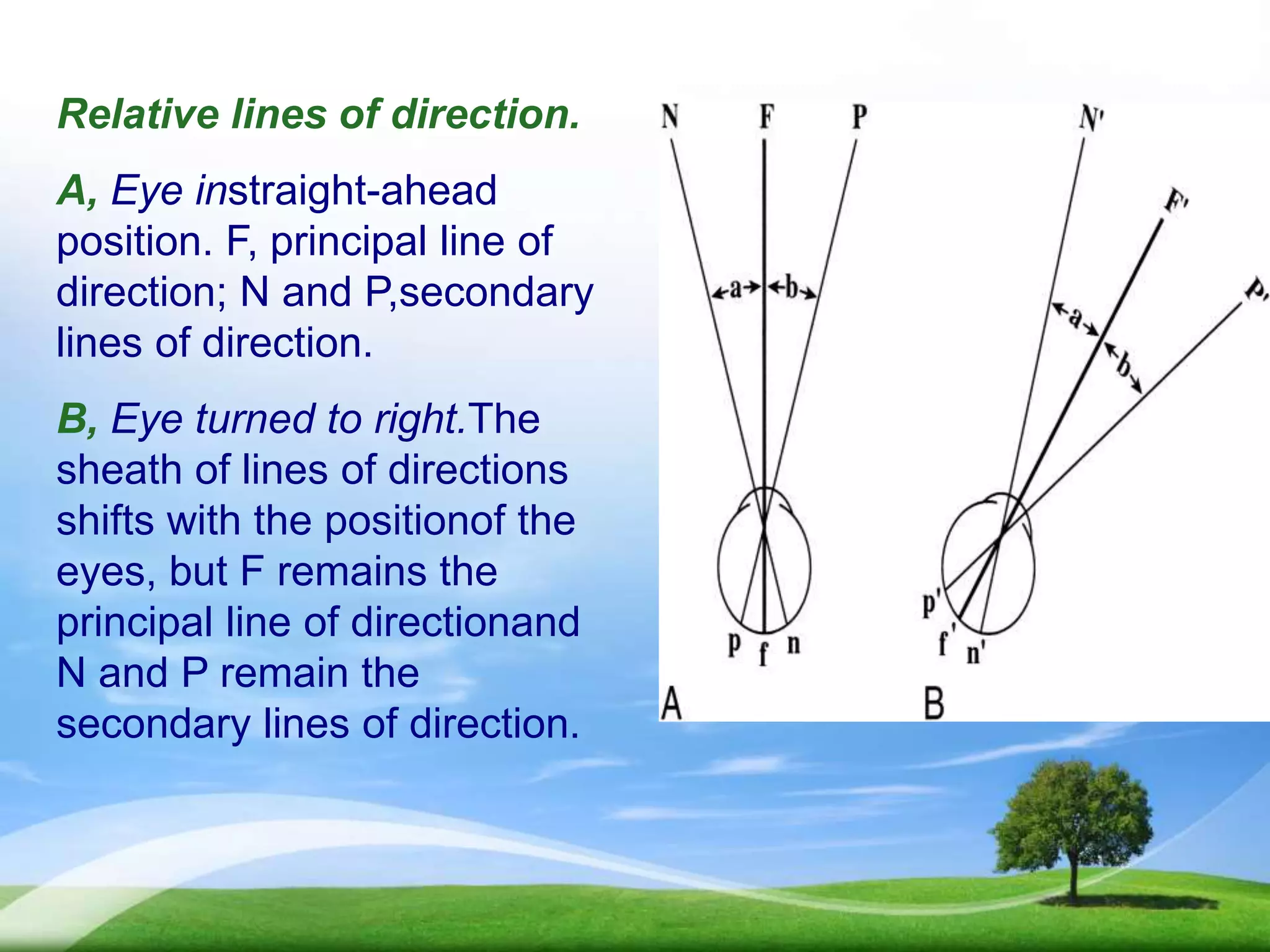 Binocular vision and vision perception | PPTX