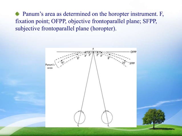 Binocular vision and vision perception | PPTX
