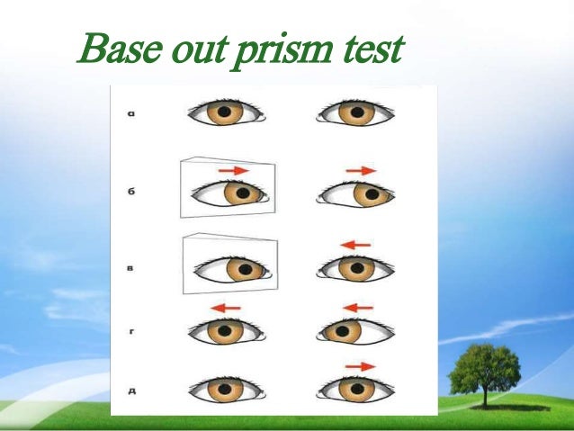 Binocular vision and vision perception