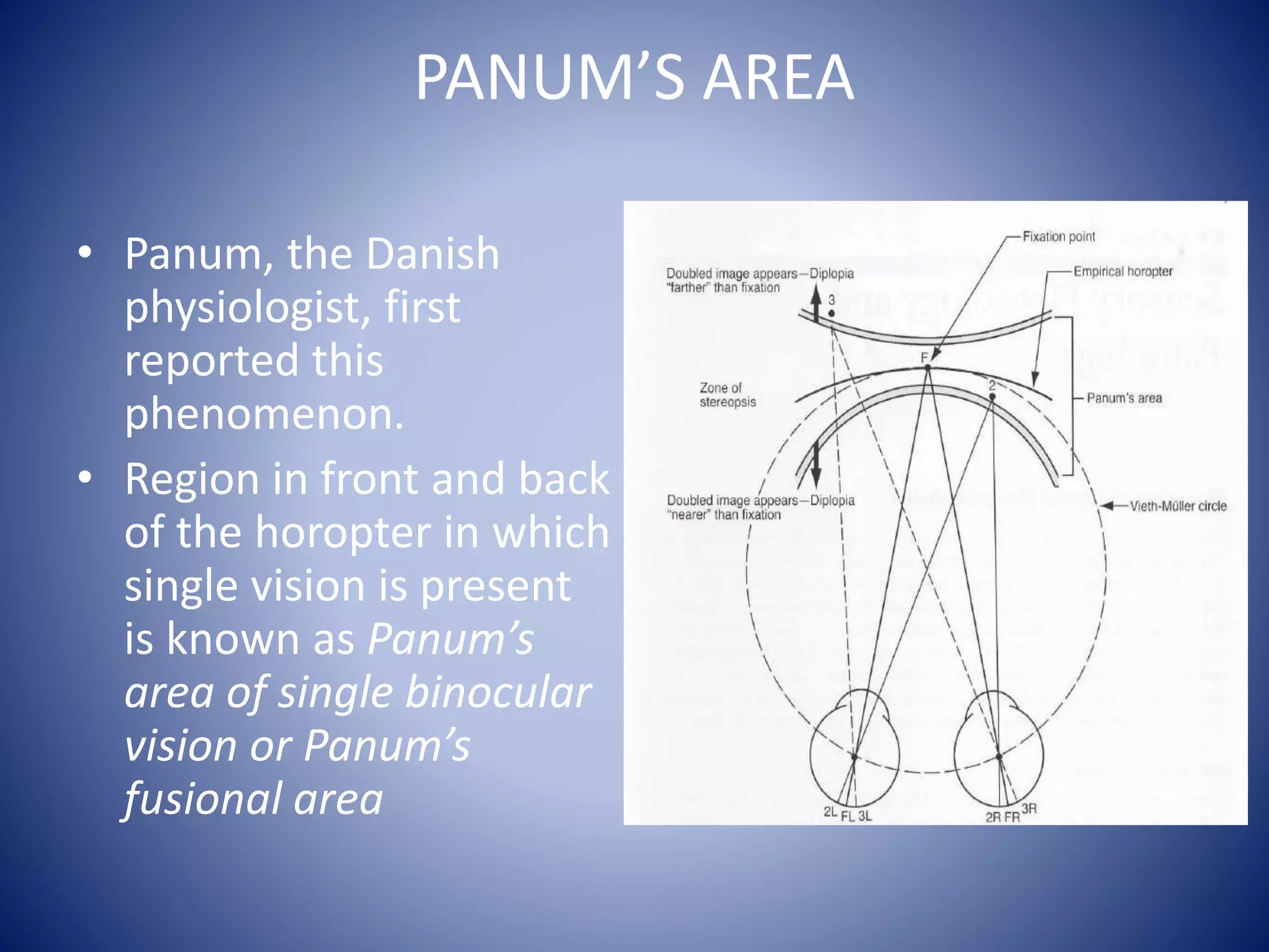 Binocular vision final | PPTX