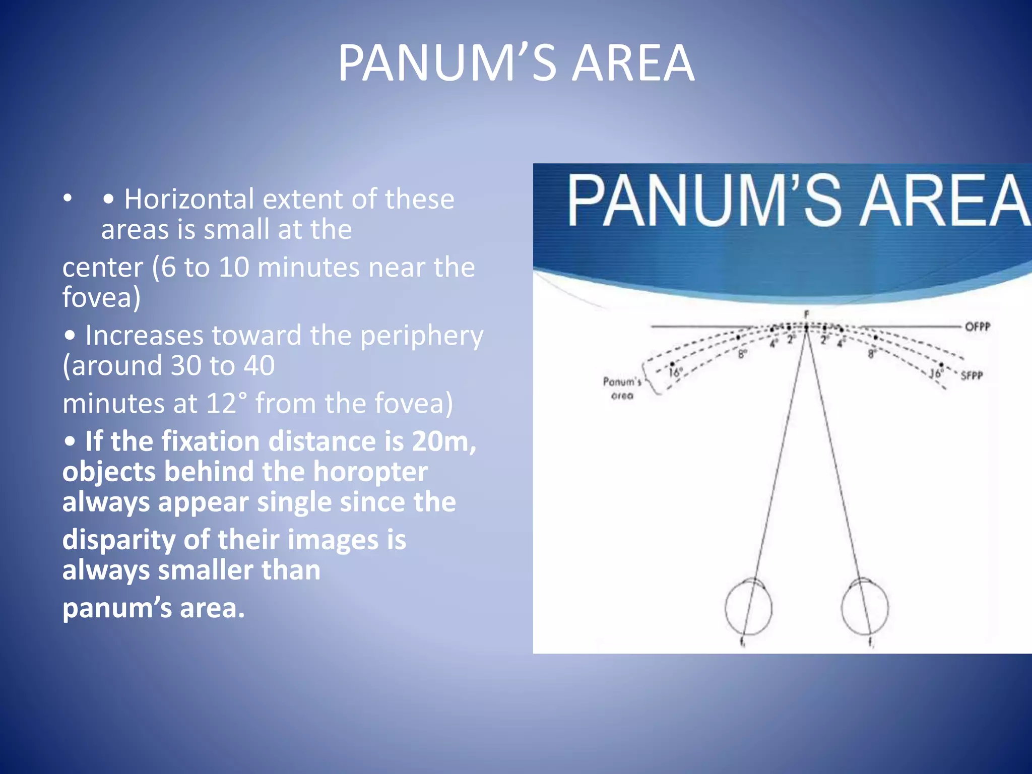 Binocular vision final | PPTX
