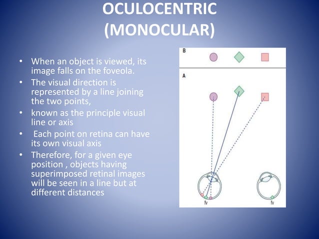 Binocular vision final | PPTX
