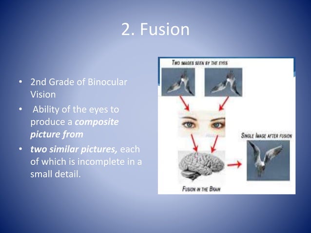 Binocular vision final | PPTX