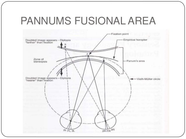 Binocular vision basics