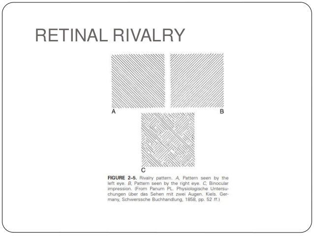 Binocular vision basics
