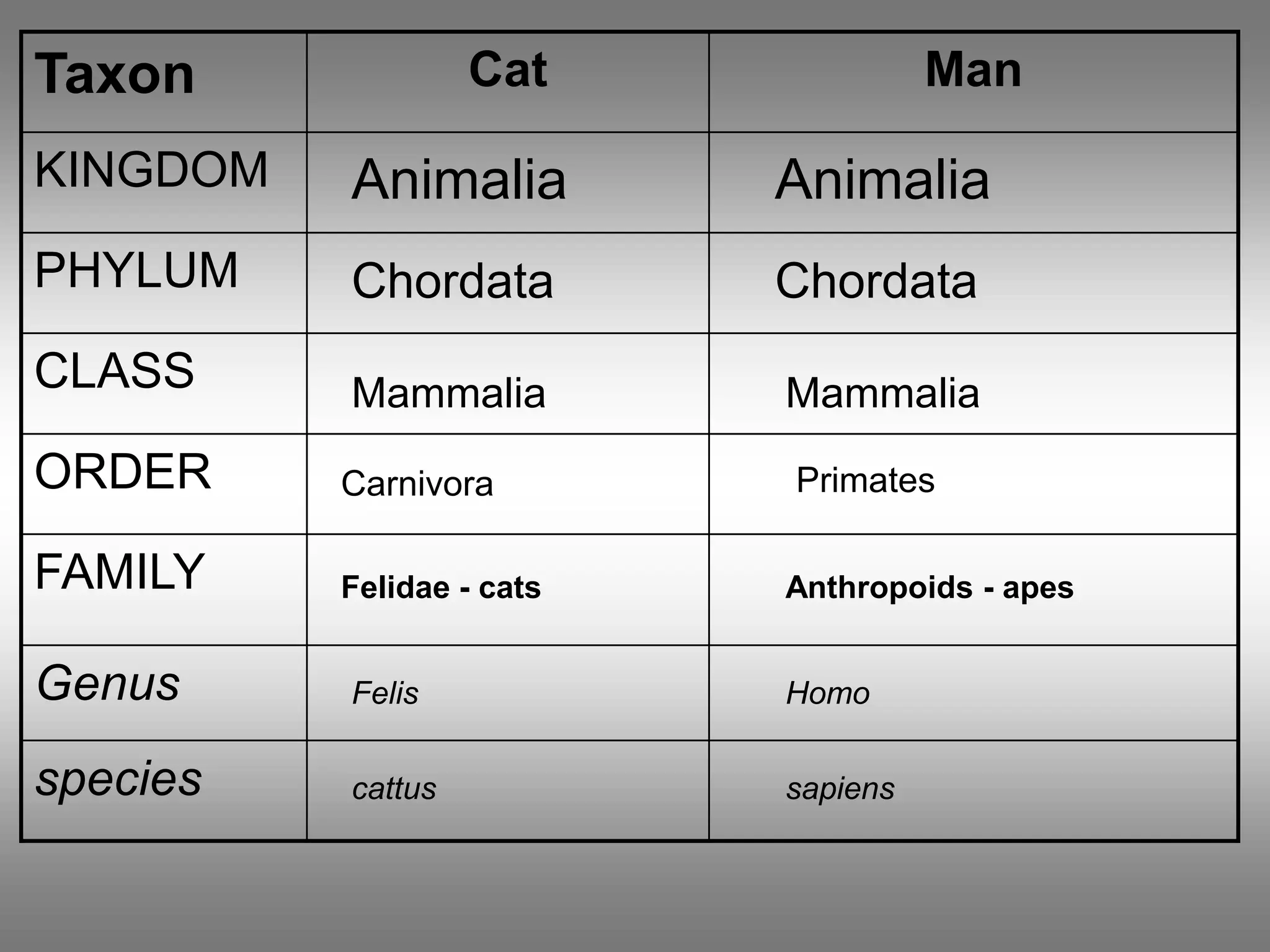 Binomial Classification of Animals and Taxonomy | PPT