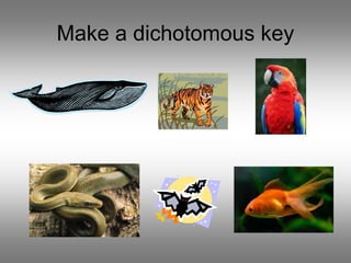 Binomial Classification of Animals and Taxonomy | PPT