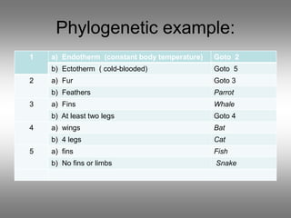 Binomial Classification of Animals and Taxonomy | PPT