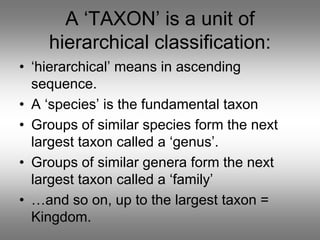 Binomial Classification of Animals and Taxonomy | PPT