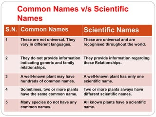 Binomial nomenclature | PPT