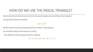 pascal triangle | PPT
