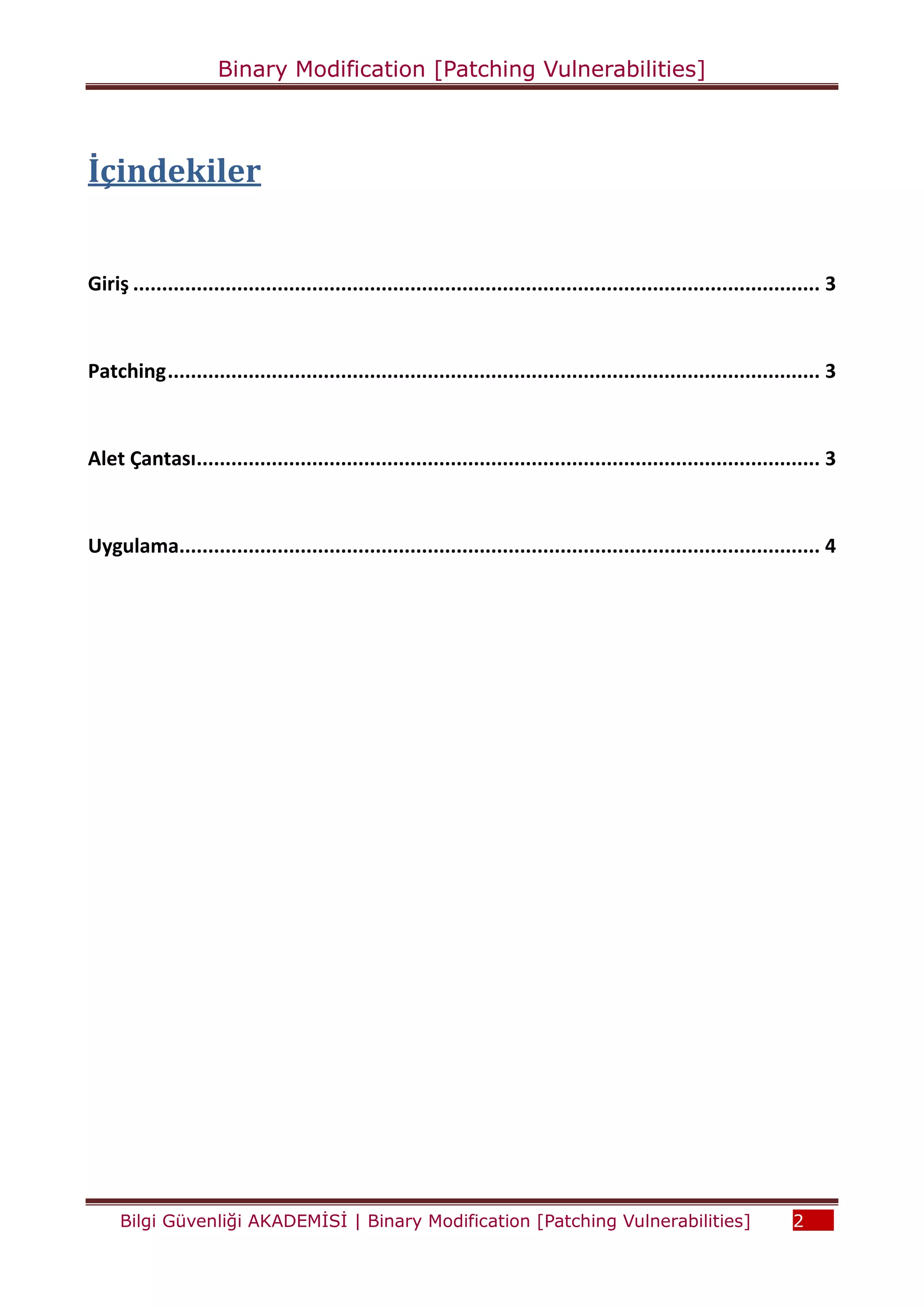Binary Modification [Patching] | PDF