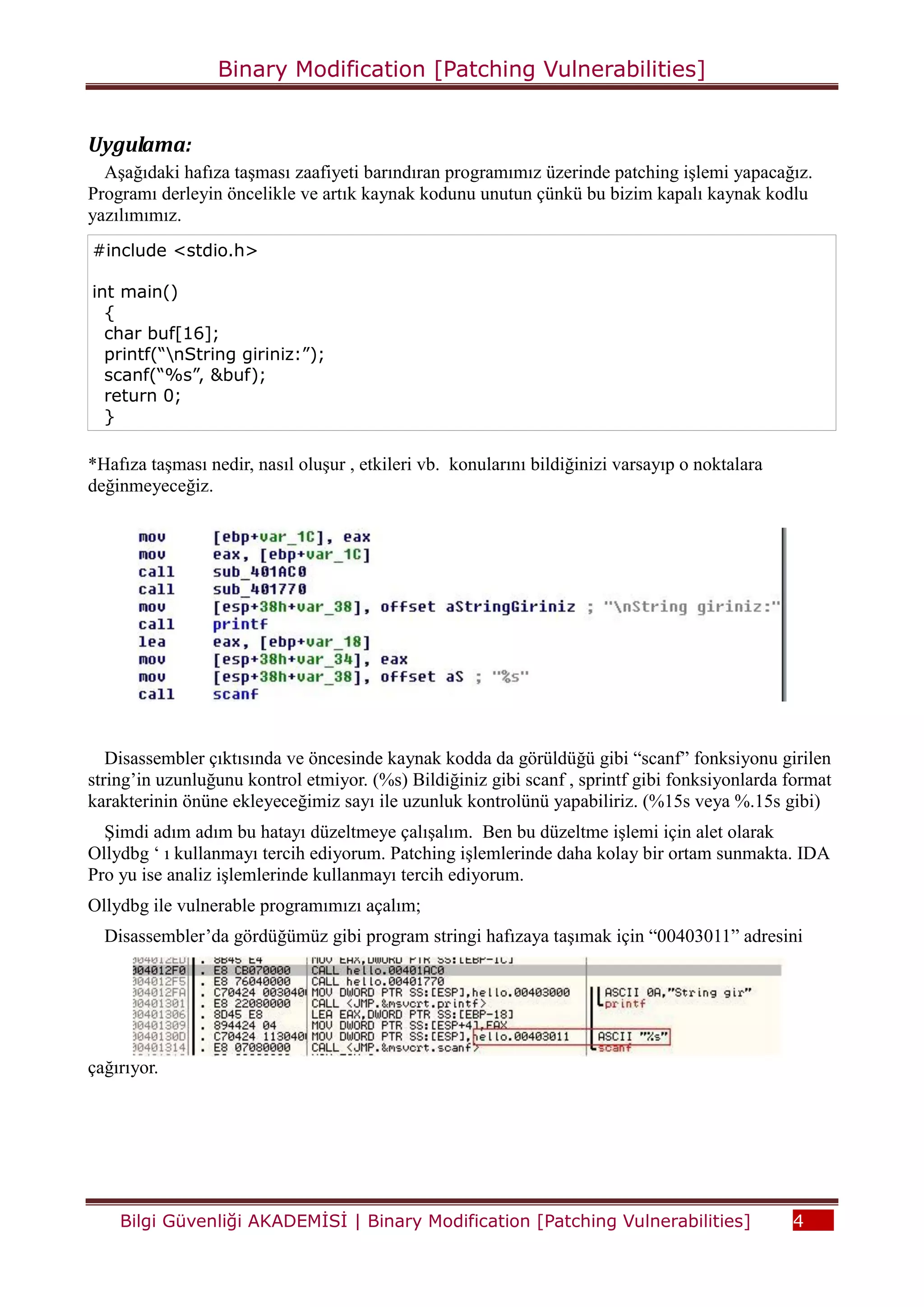 Binary Modification [Patching] | PDF