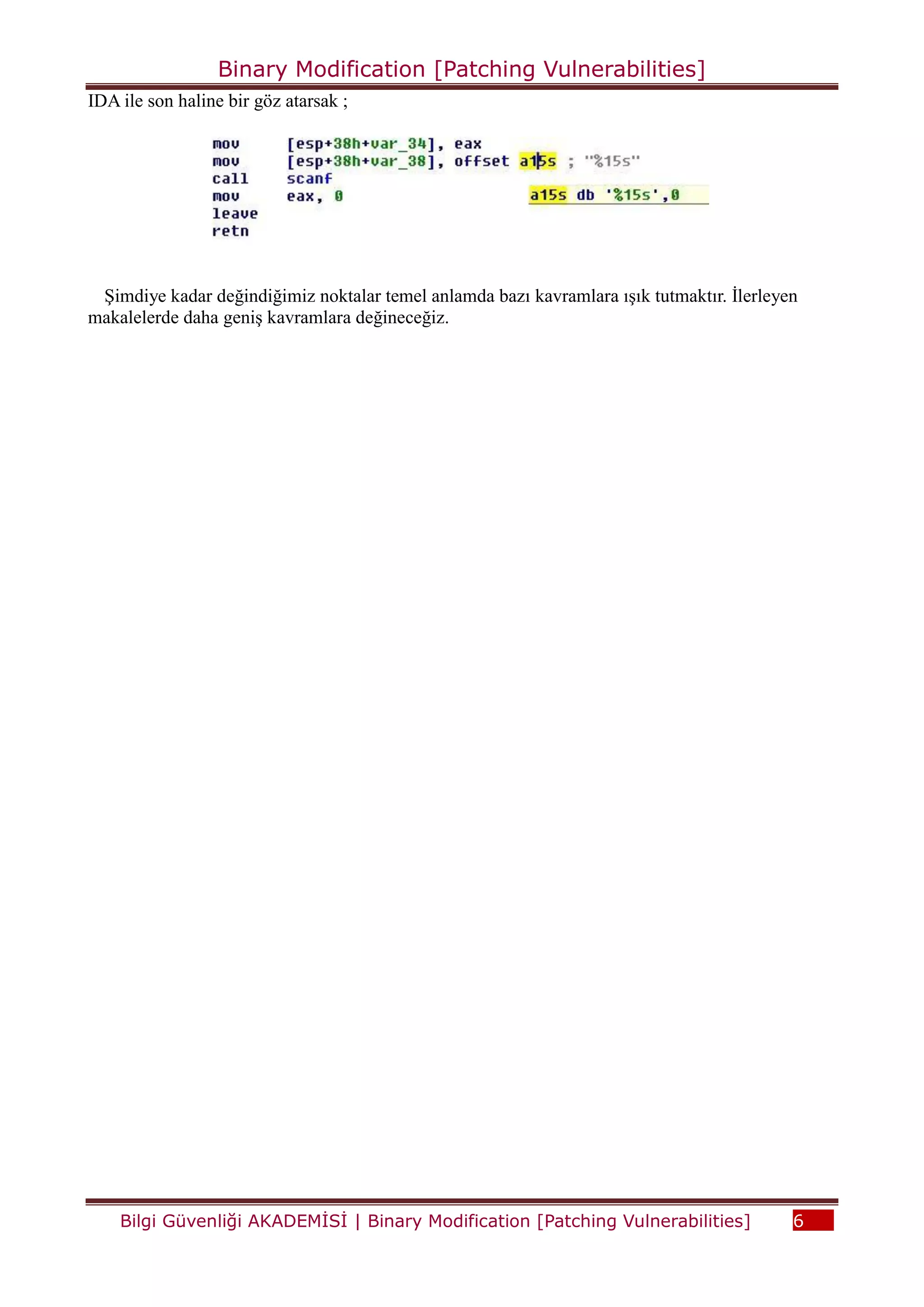 Binary Modification [Patching] | PDF