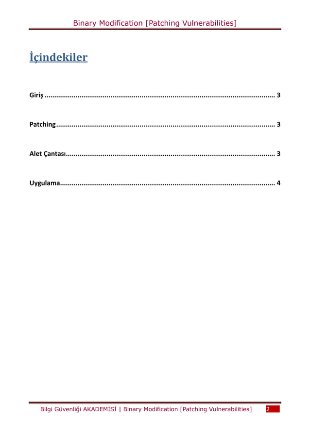 Binary Modification [Patching] | PDF