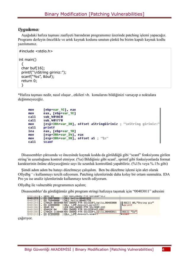 Binary Modification [Patching] | PDF