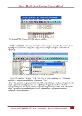 Binary Modification [Patching] | PDF