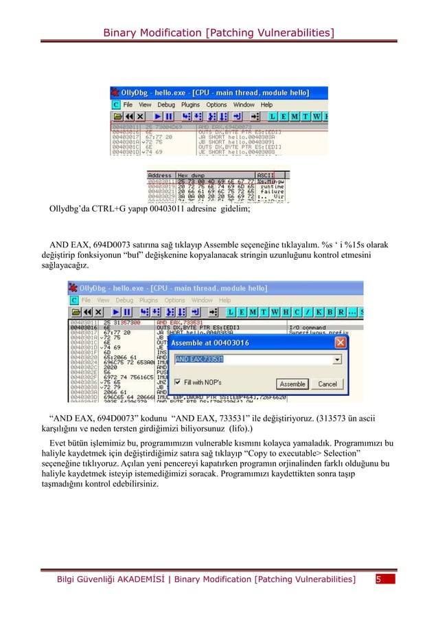 Binary Modification [Patching] | PDF