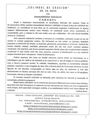 Buletin Informativ Cultural nr.1 din 2011 | PPTX