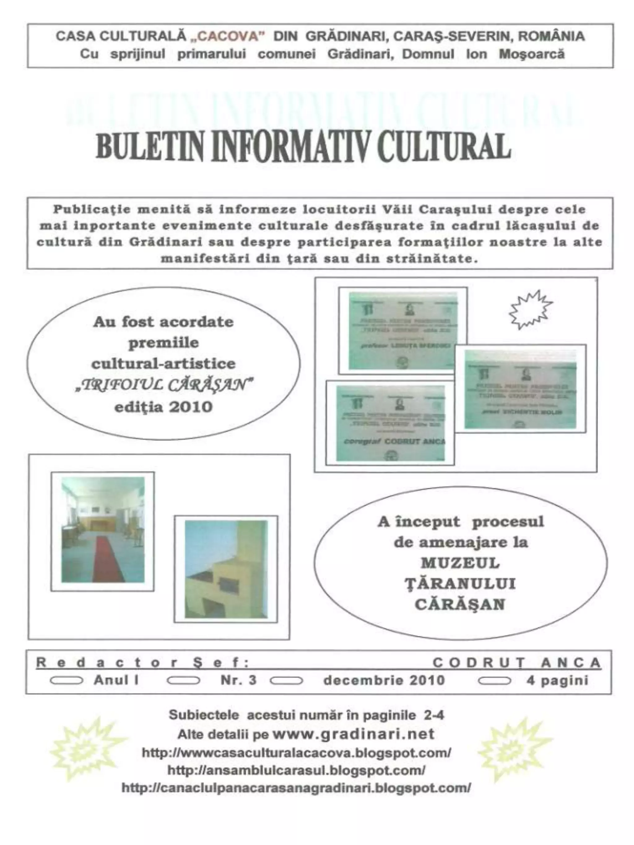 Buletin Informativ Cultural nr. 3 din 2010 | PDF