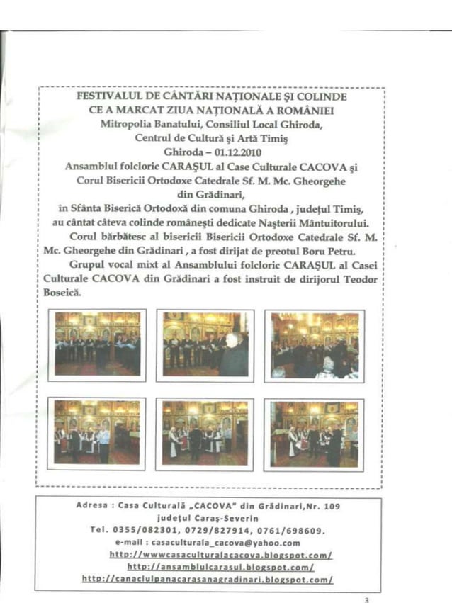 Buletin Informativ Cultural nr. 3 din 2010 | PDF