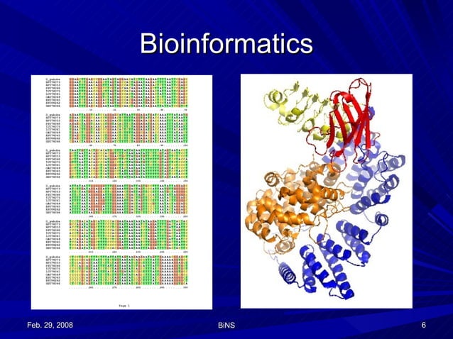 A graduate student's experience in bioinformatics | PPT