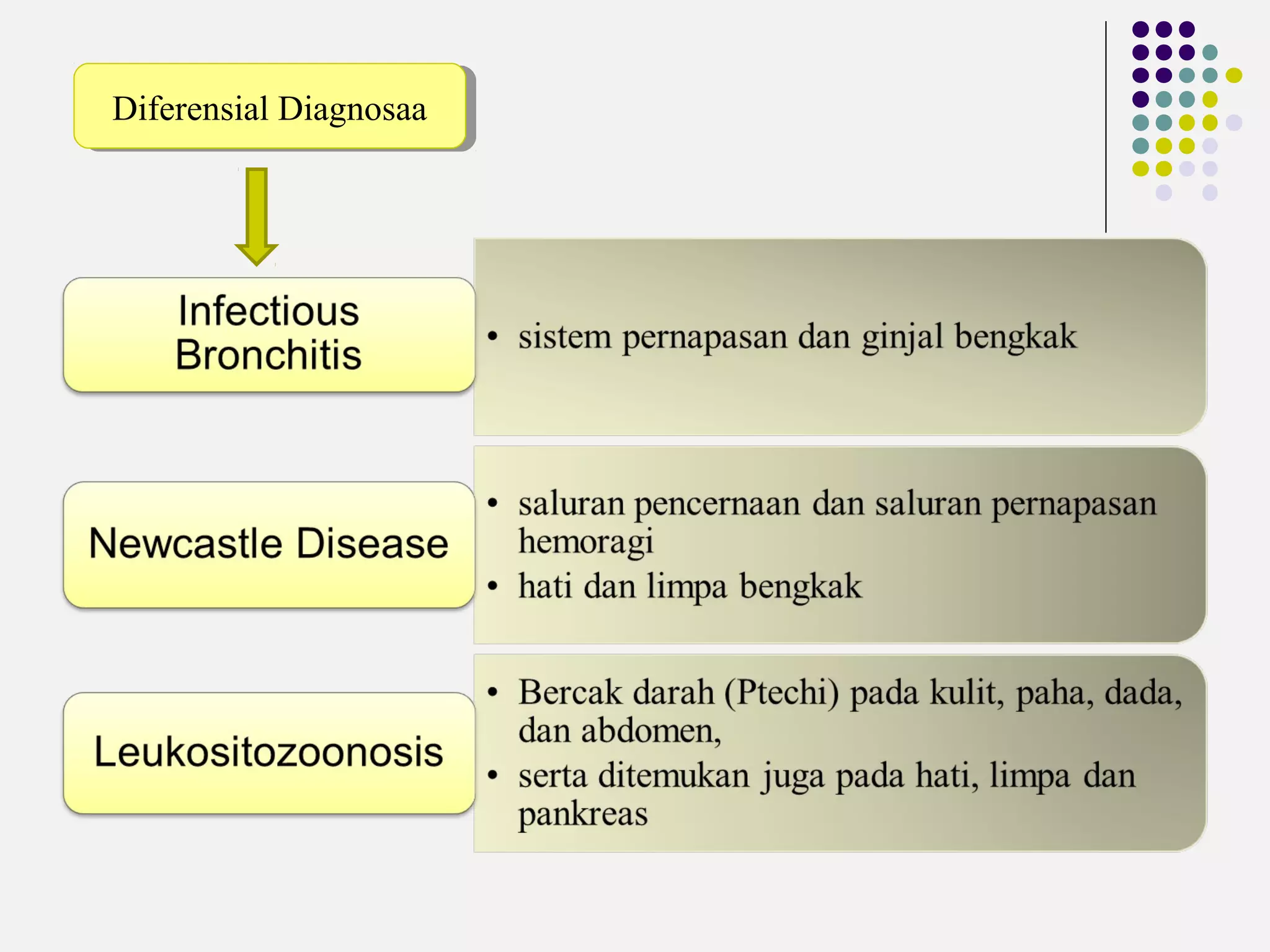infectious bursal disease | PPT