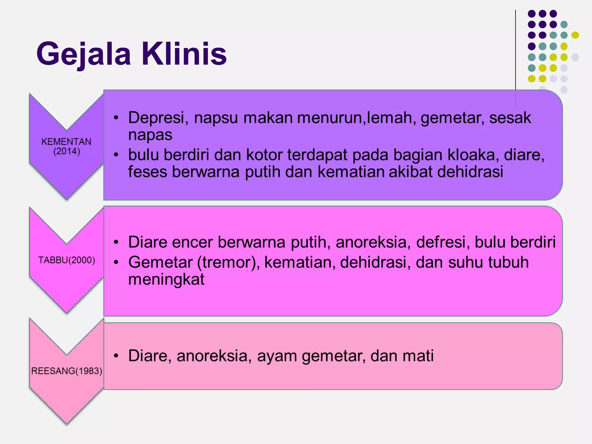 infectious bursal disease | PPT