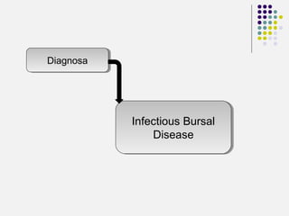 infectious bursal disease | PPT