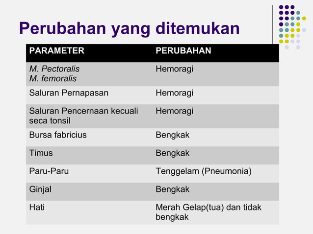 infectious bursal disease | PPT