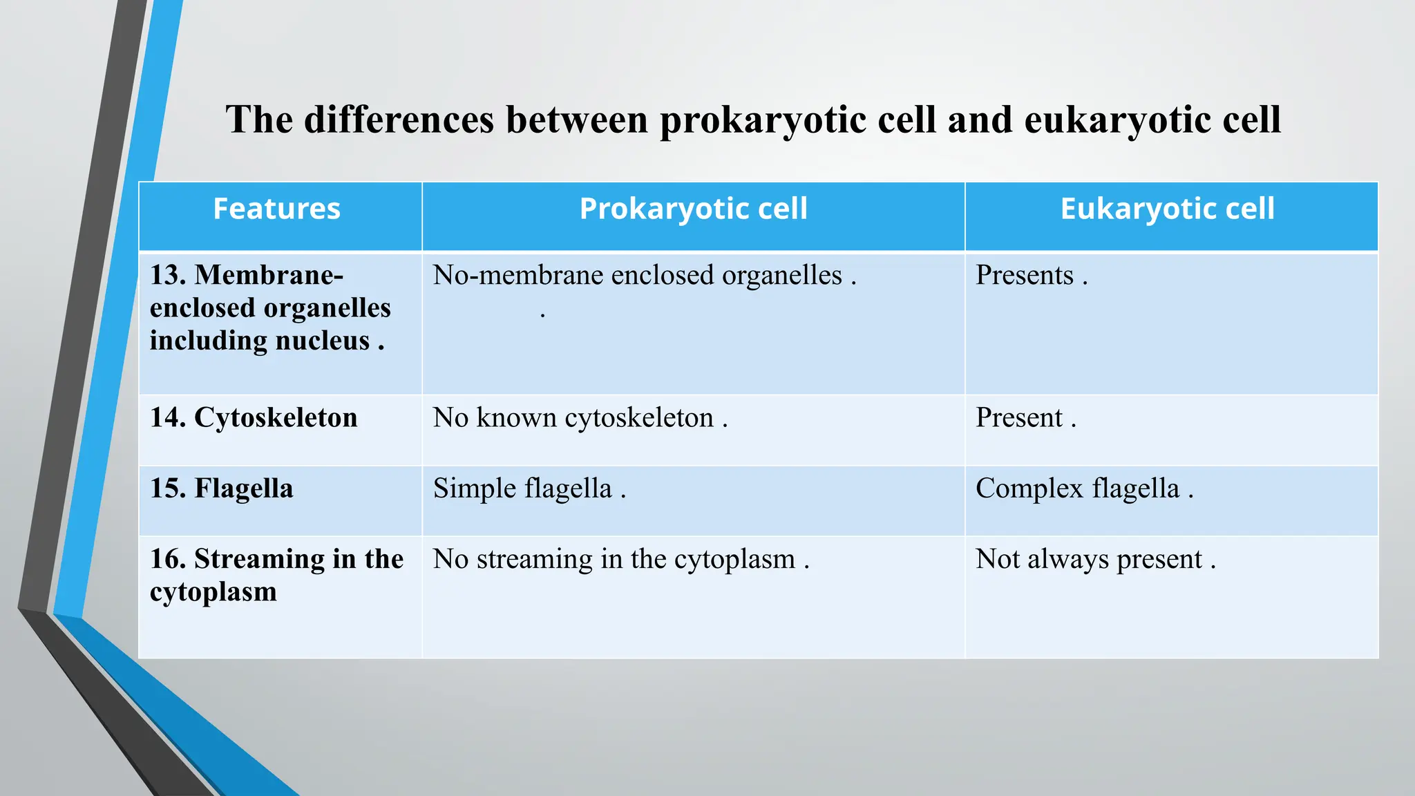 Eukaryotic Cells and Prokaryotic Cells - STEM | PPTX