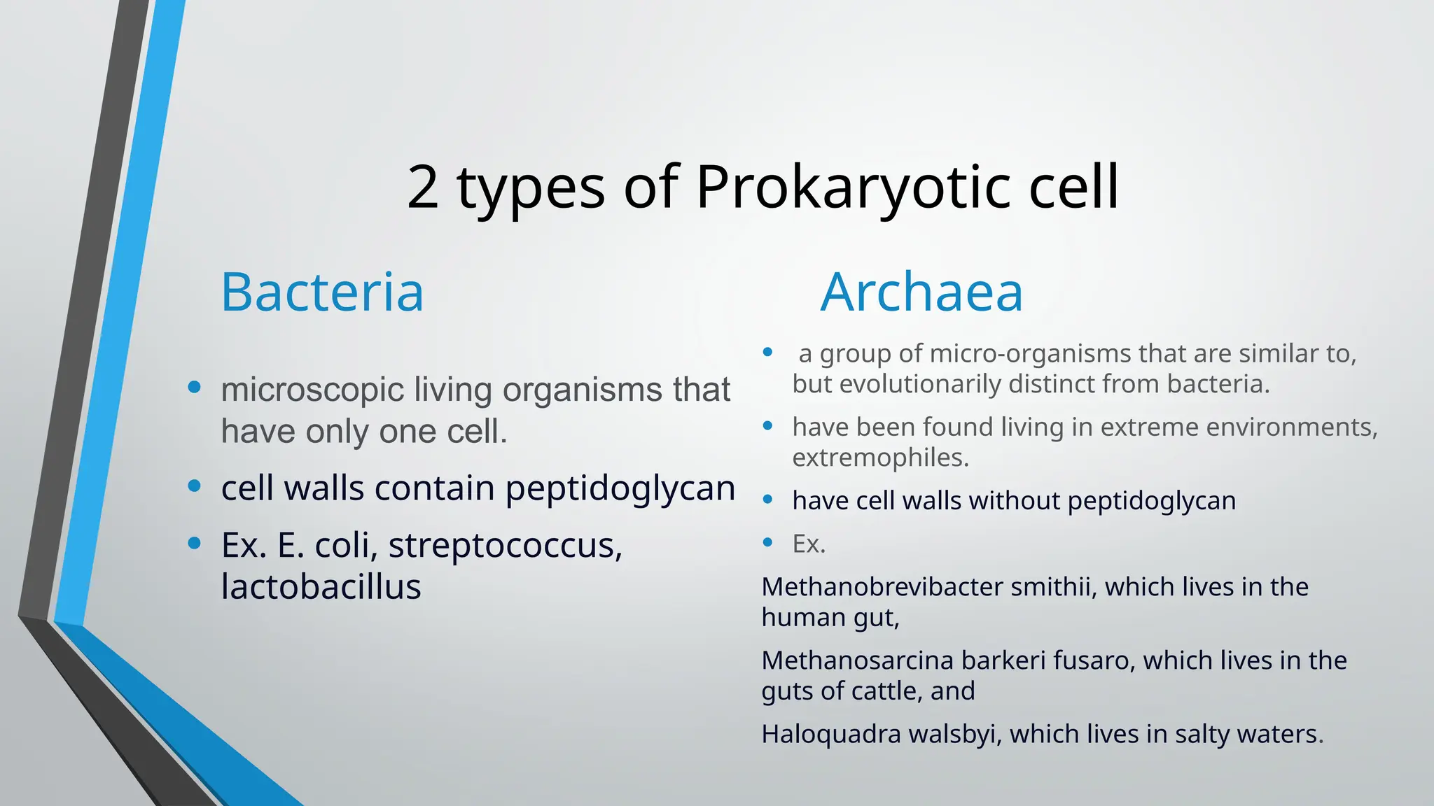 Eukaryotic Cells and Prokaryotic Cells - STEM | PPTX